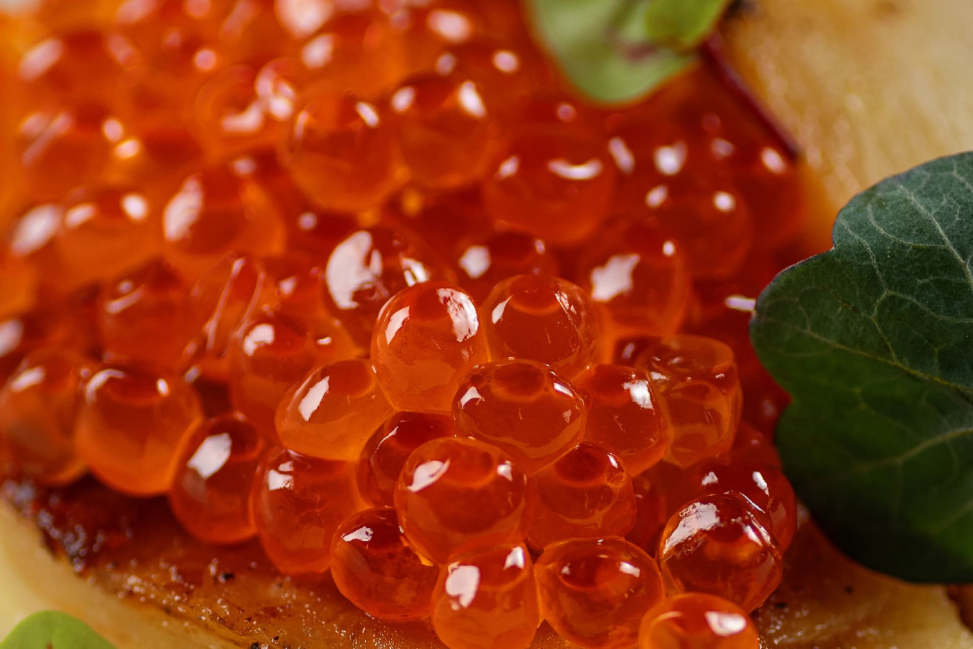 Red & Black caviar - CaviarHouse.lv SIA